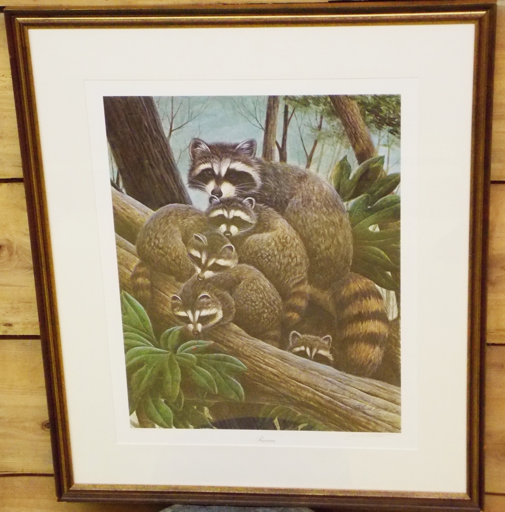 "Raccoons" by John A. Ruthven | EBTH