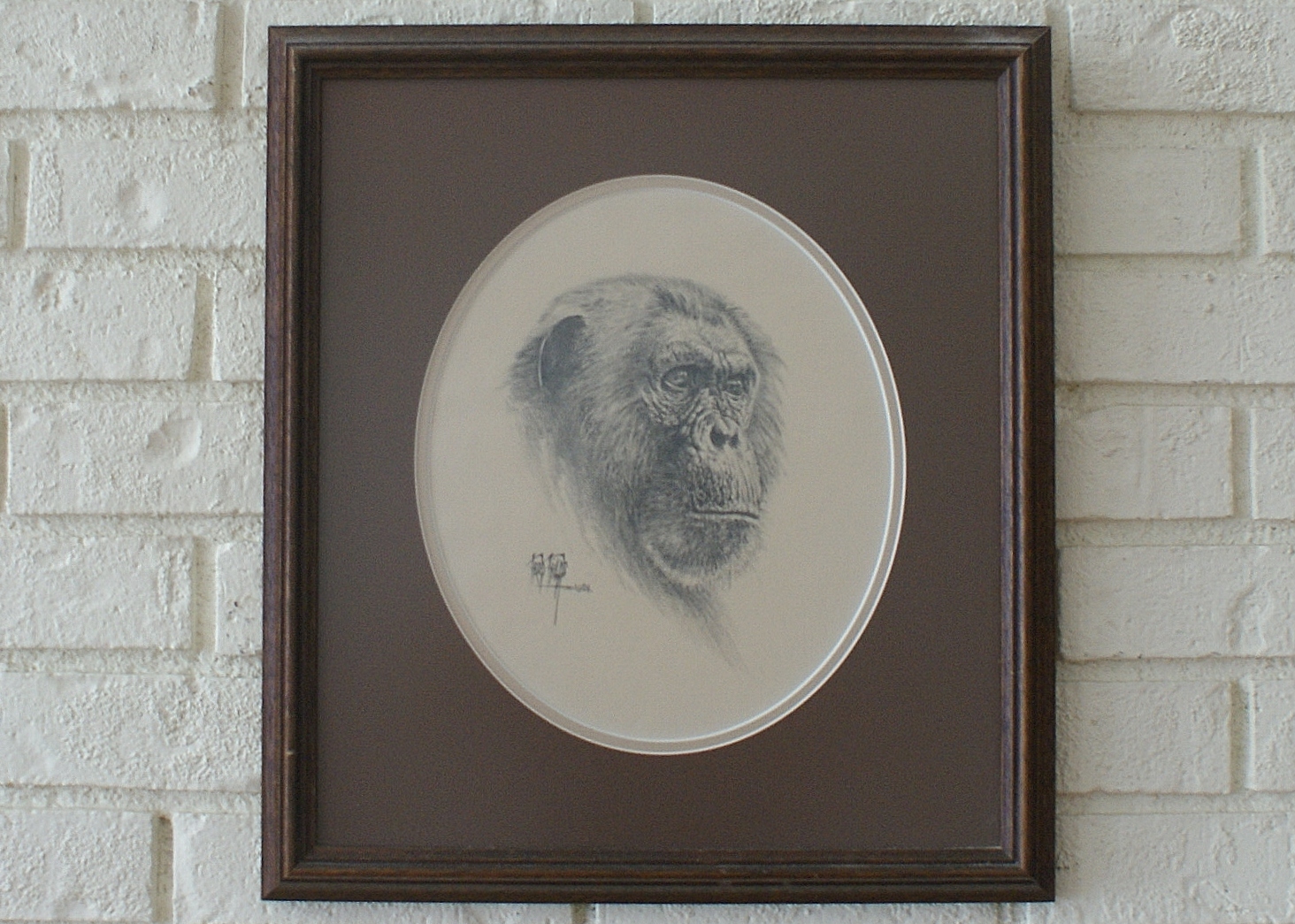Fred Fields Portrait Of An Ape | EBTH