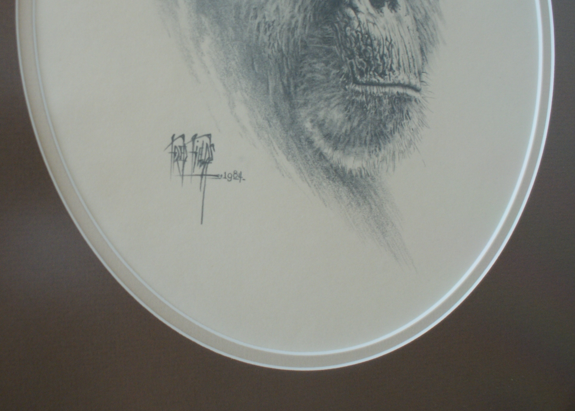 Fred Fields Portrait Of An Ape | EBTH
