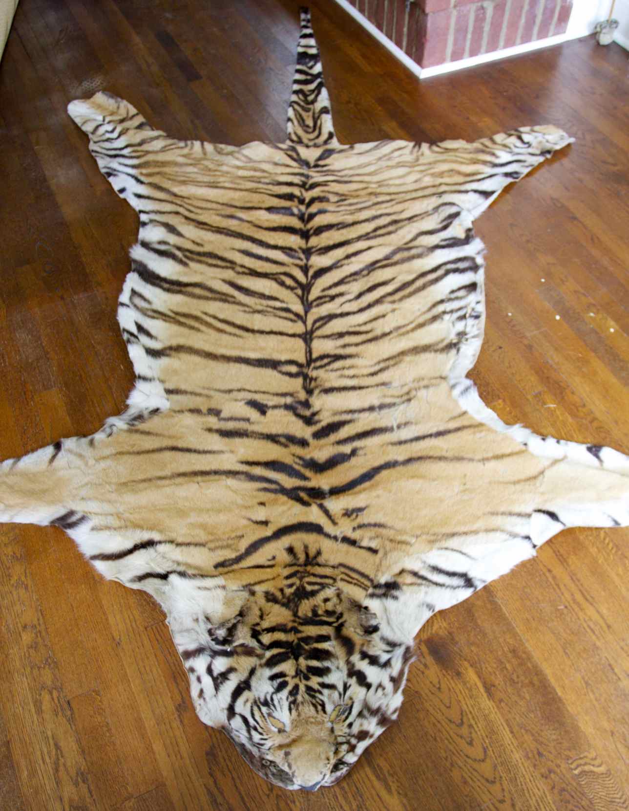 Genuine Indian Bengal Tiger Pelt Rug | EBTH