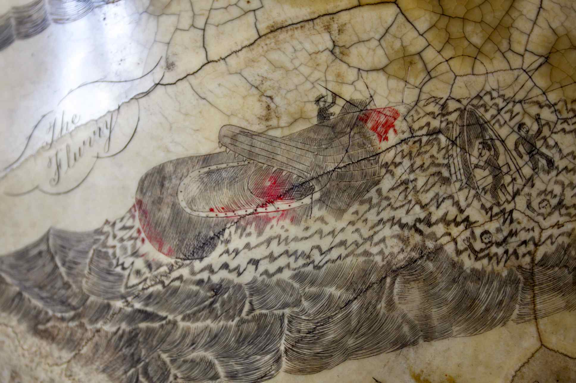 Important 1841 Scrimshaw Tortoise Shell | EBTH