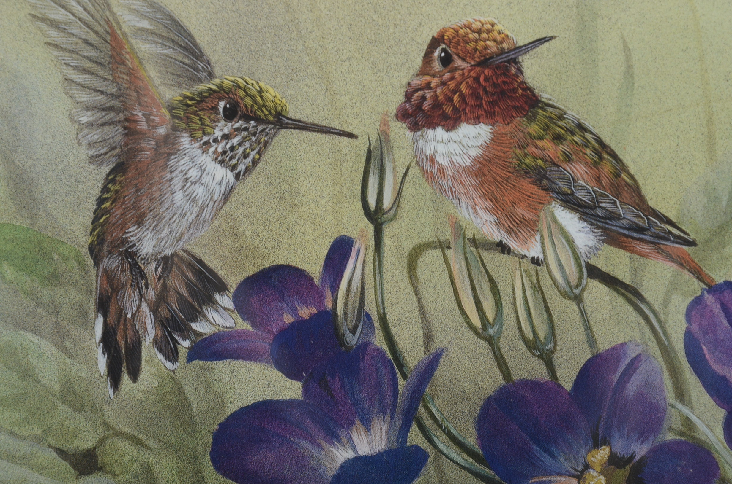 Two Signed and Numbered Framed Hummingbird Prints, Gamini Ratnavira | EBTH