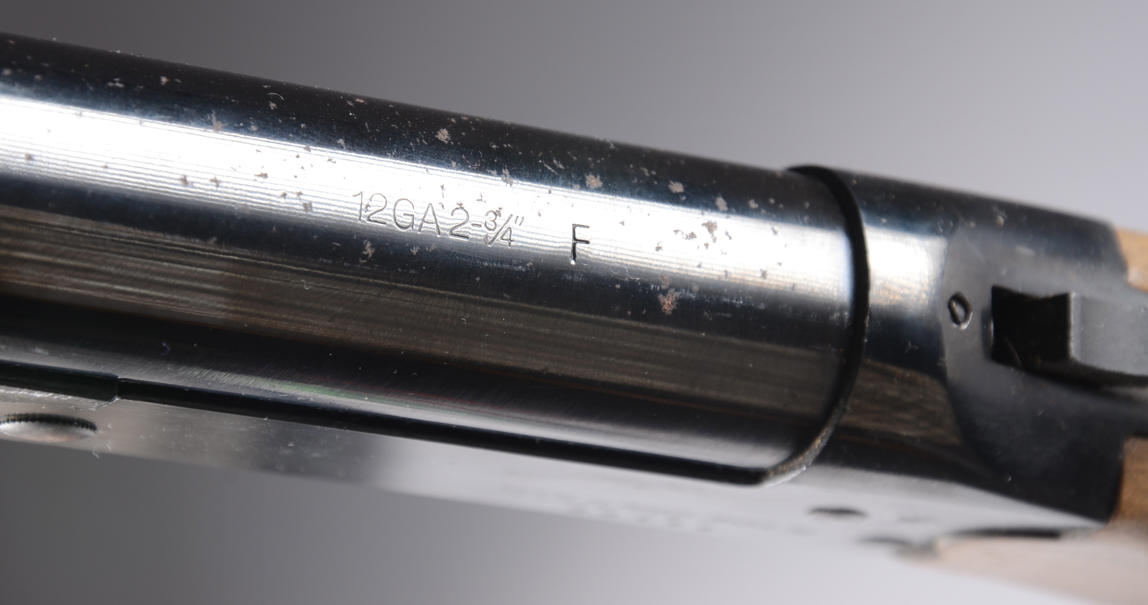 Kassnar 12 gauge single shot shotgun | EBTH