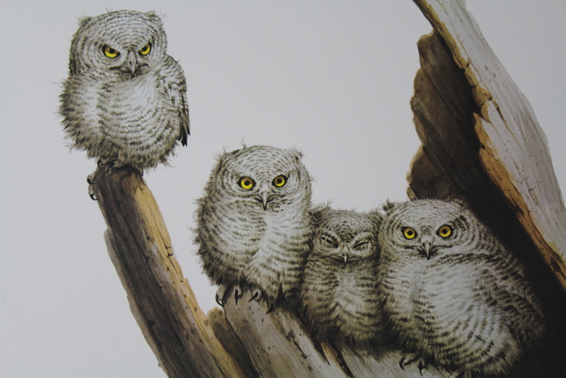 Guy Coheleach "Screech Owls" Print | EBTH
