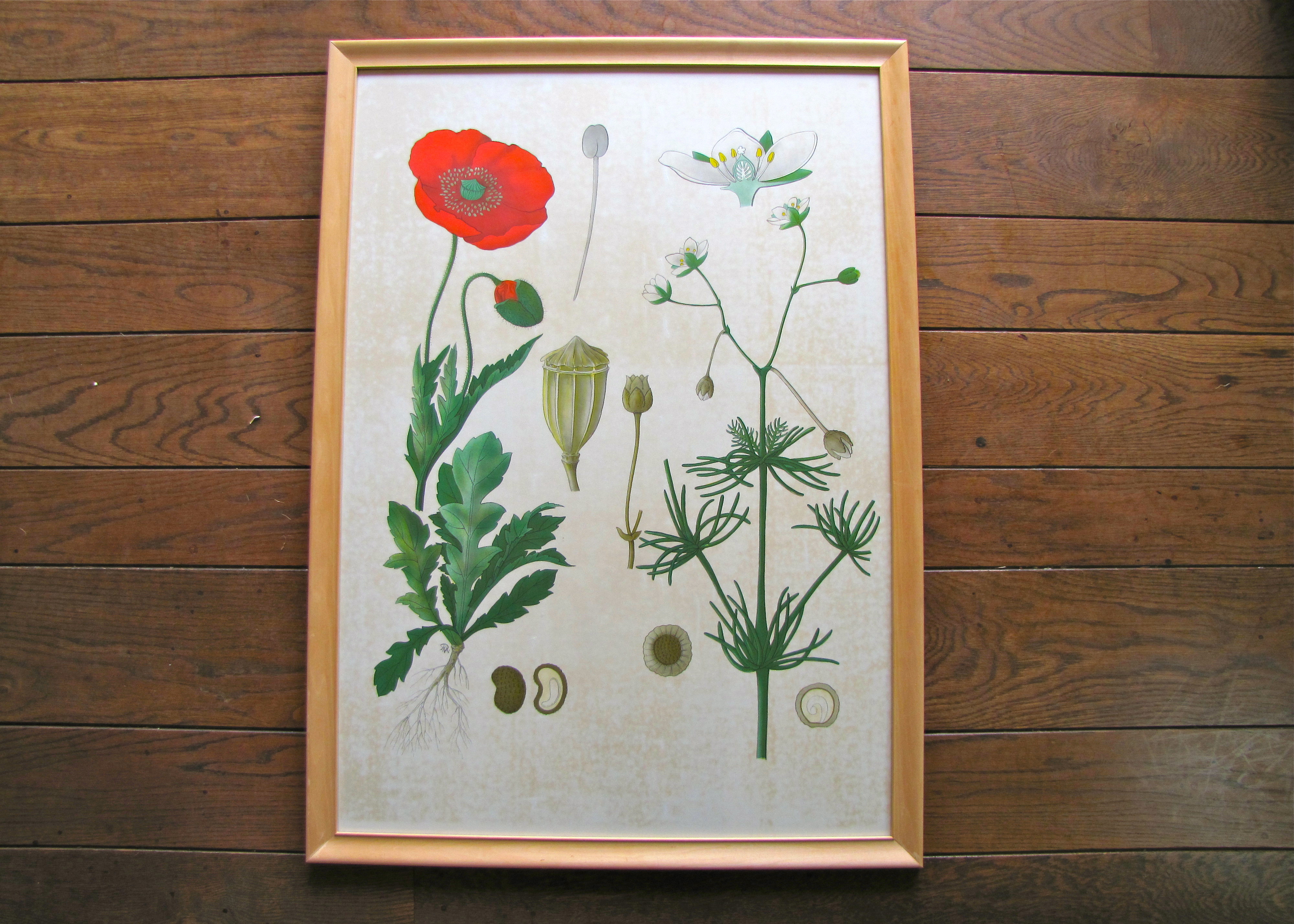 Large Framed Floral Print | EBTH