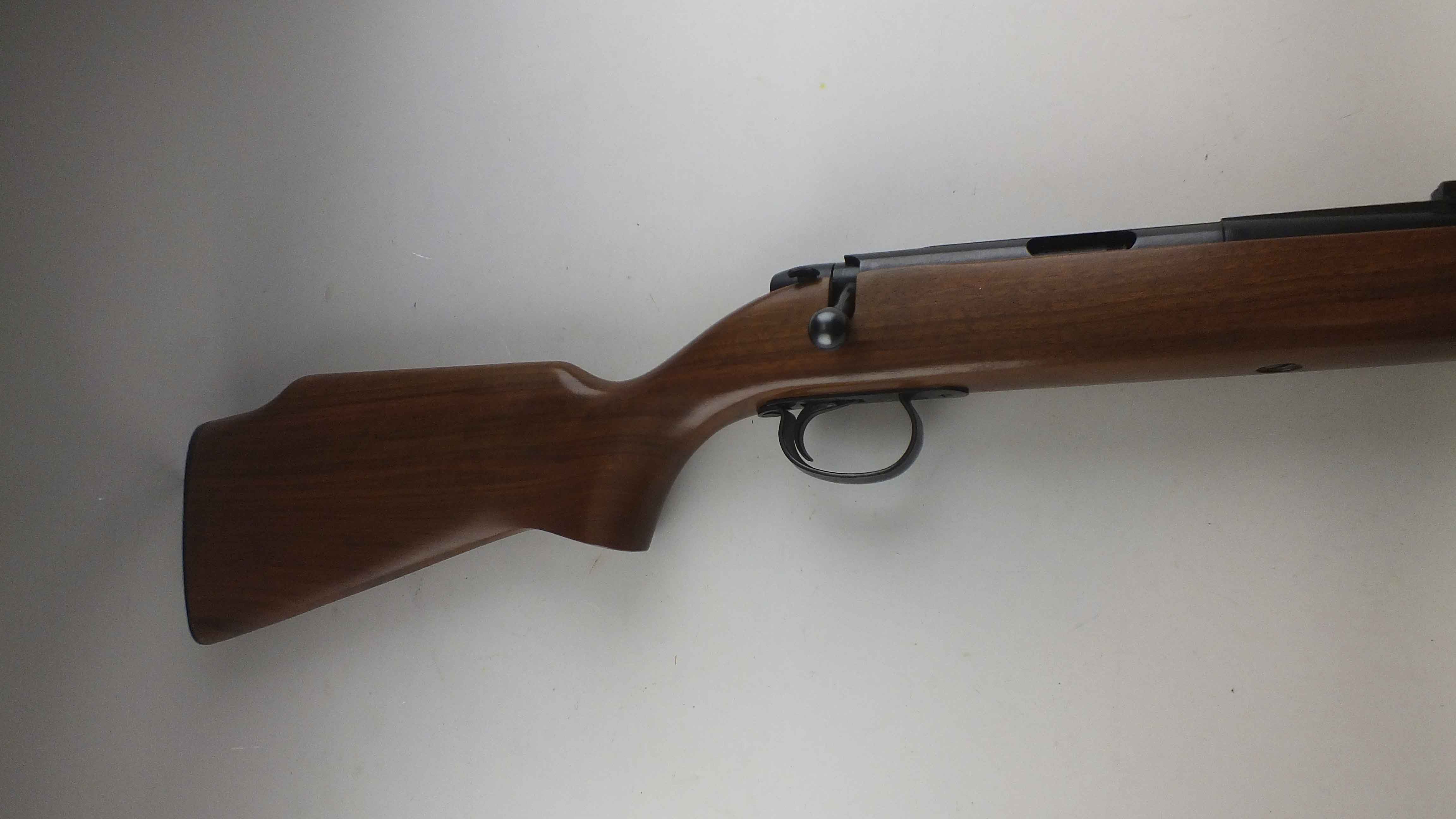 Remington Bolt Action 22 Caliber Rifle Model 582 | EBTH