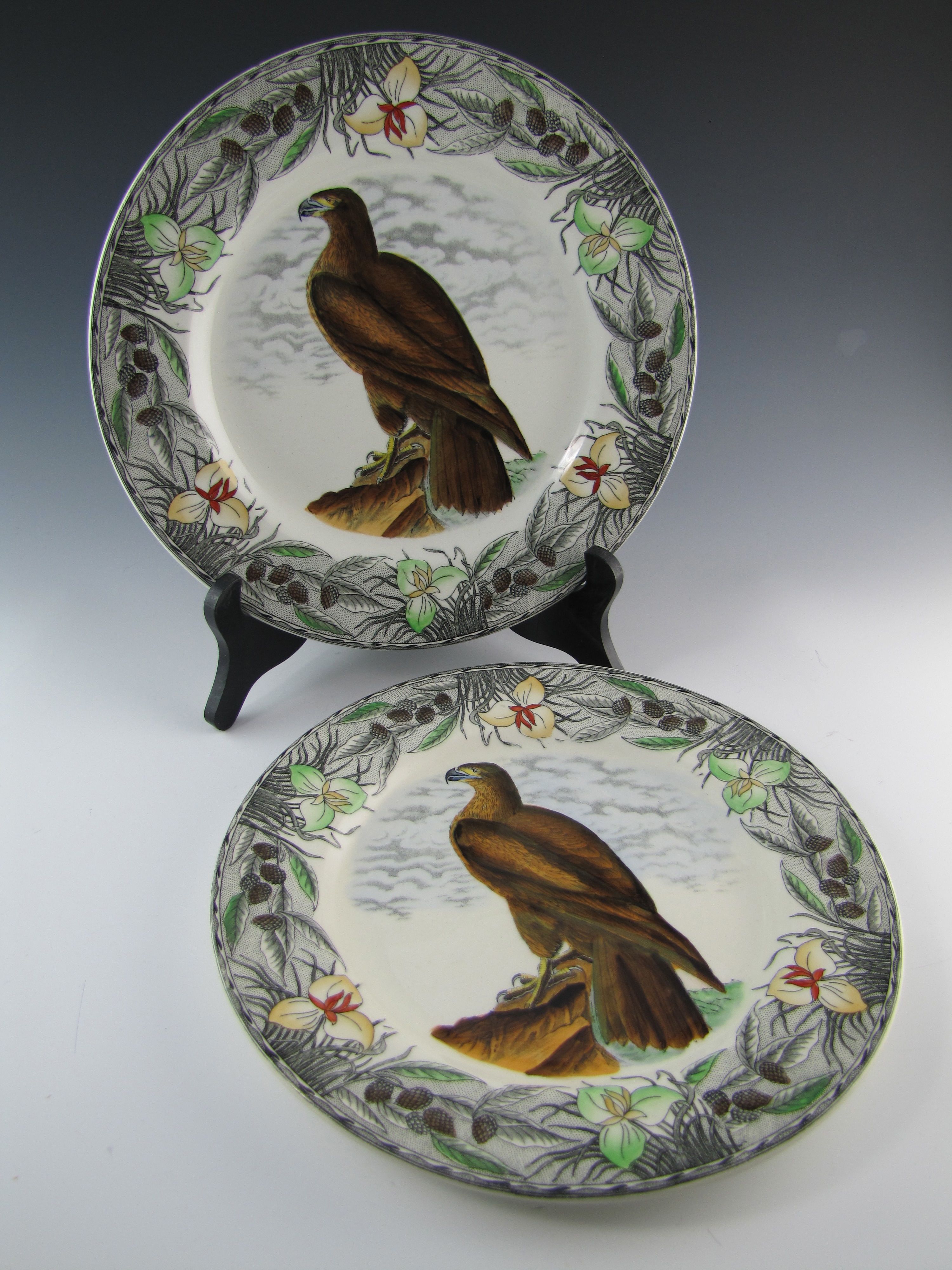 "Birds of America" Engraved Hand-Painted Audubon Dinner Plates | EBTH