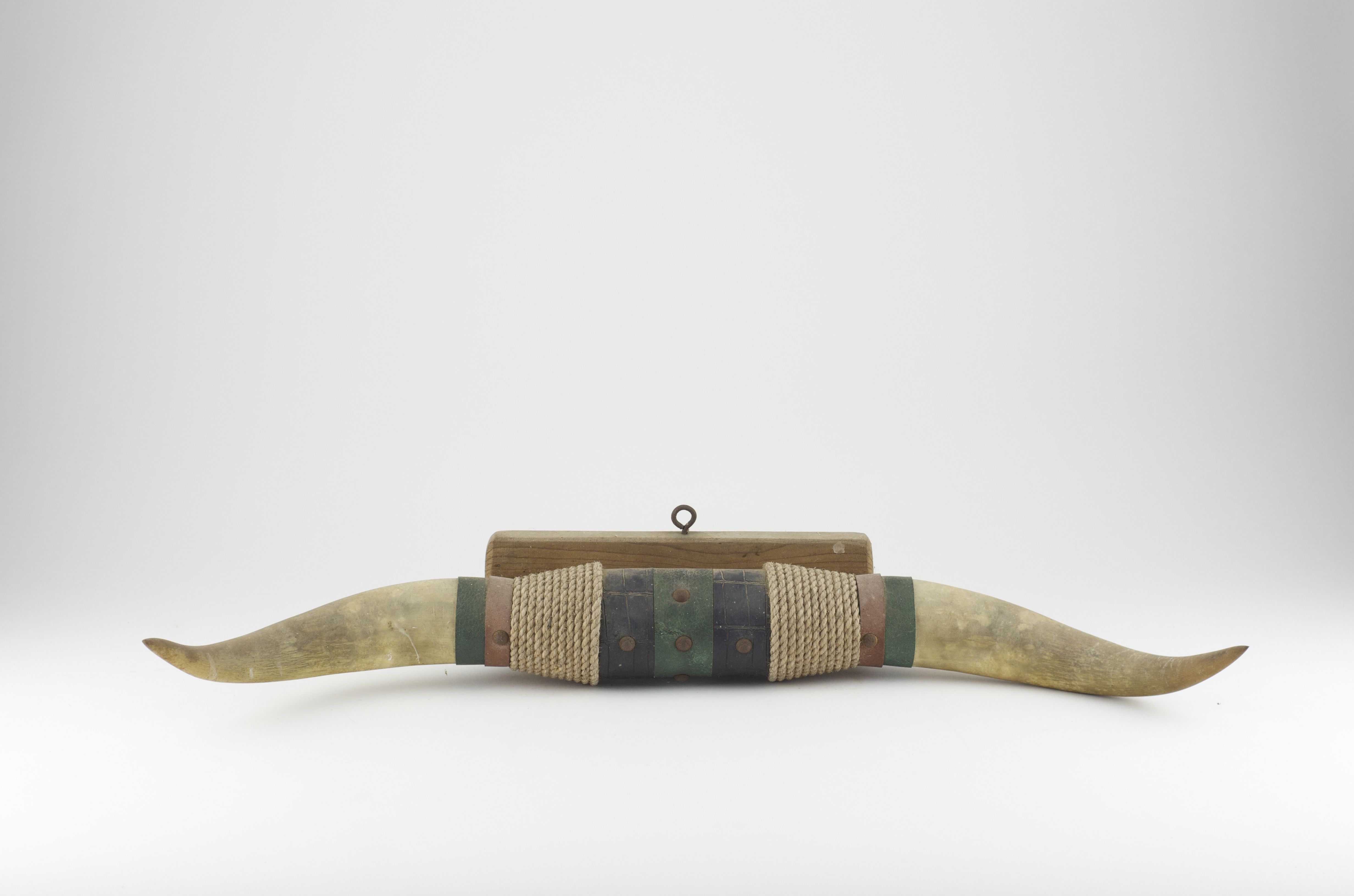 Decorative Bull Horn Mount | EBTH