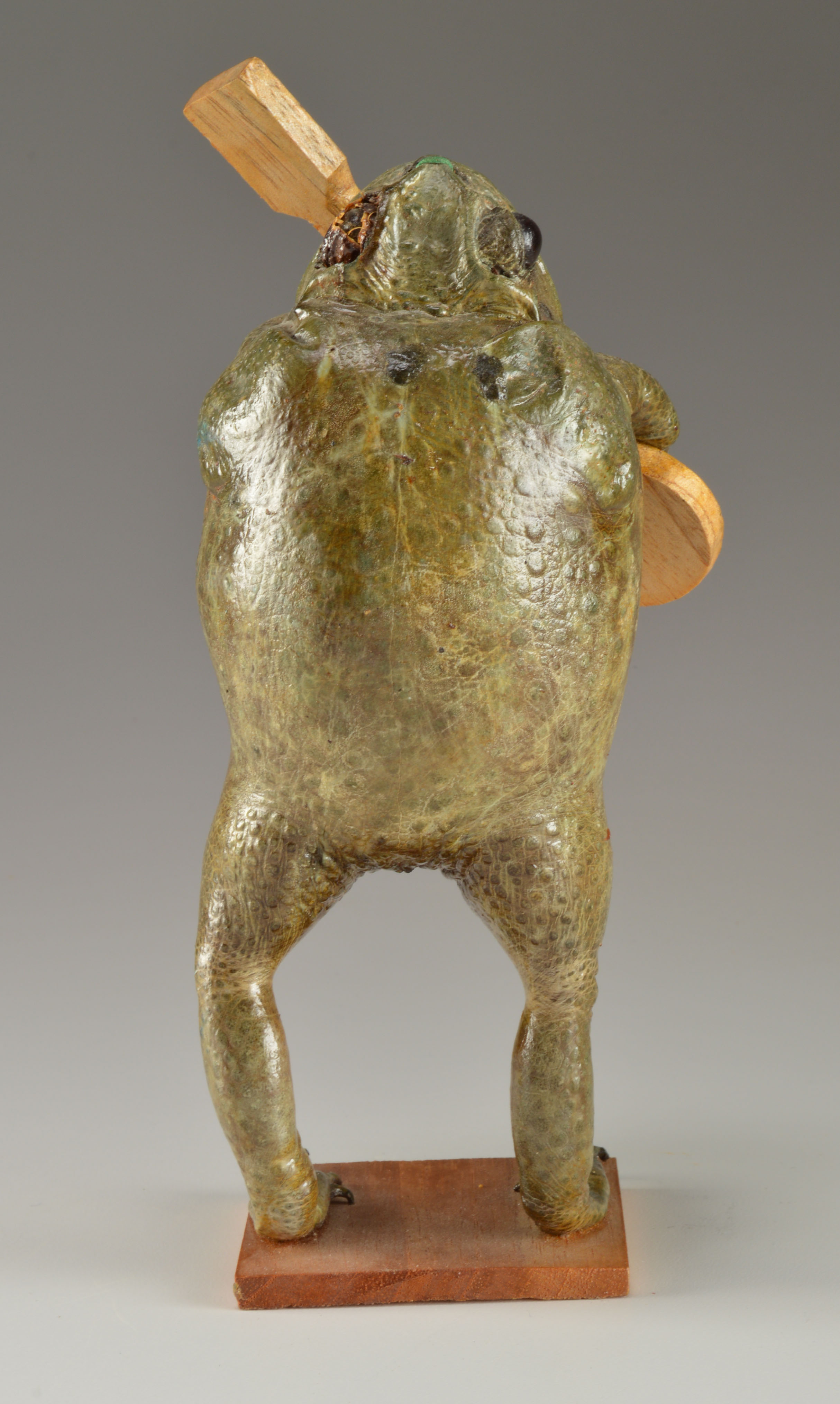Taxidermy Frog with Wooden Guitar | EBTH