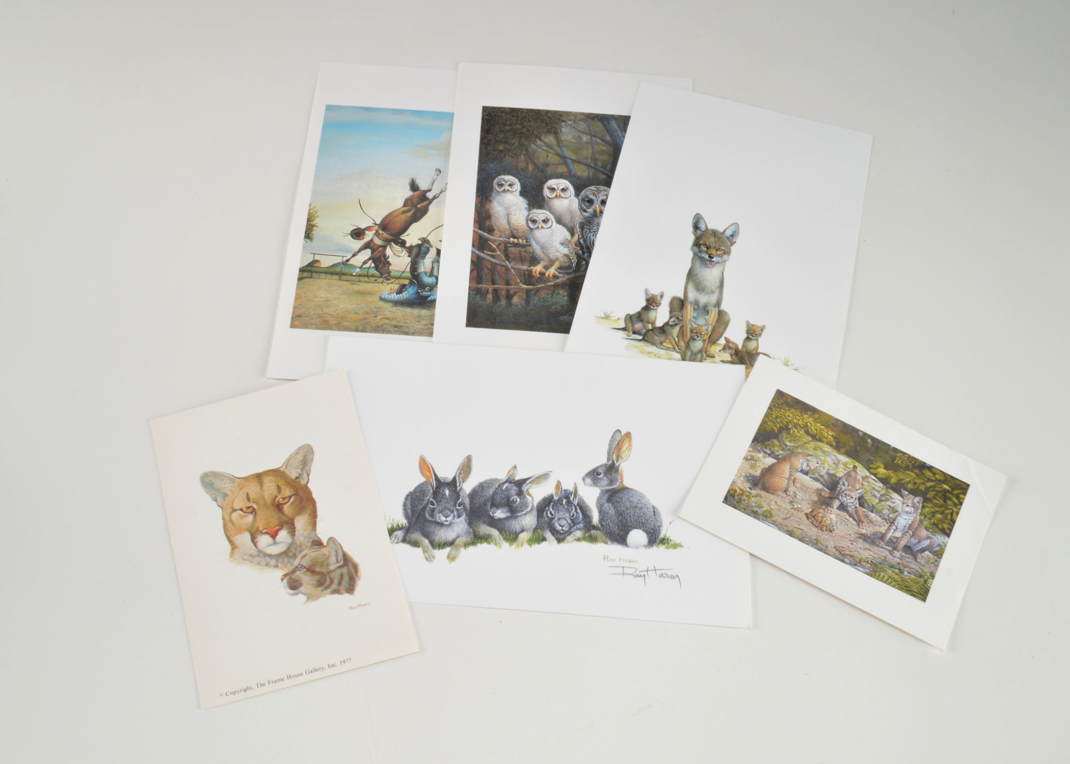 Ray Harm Wildlife Prints, Three Pencil Signed | EBTH