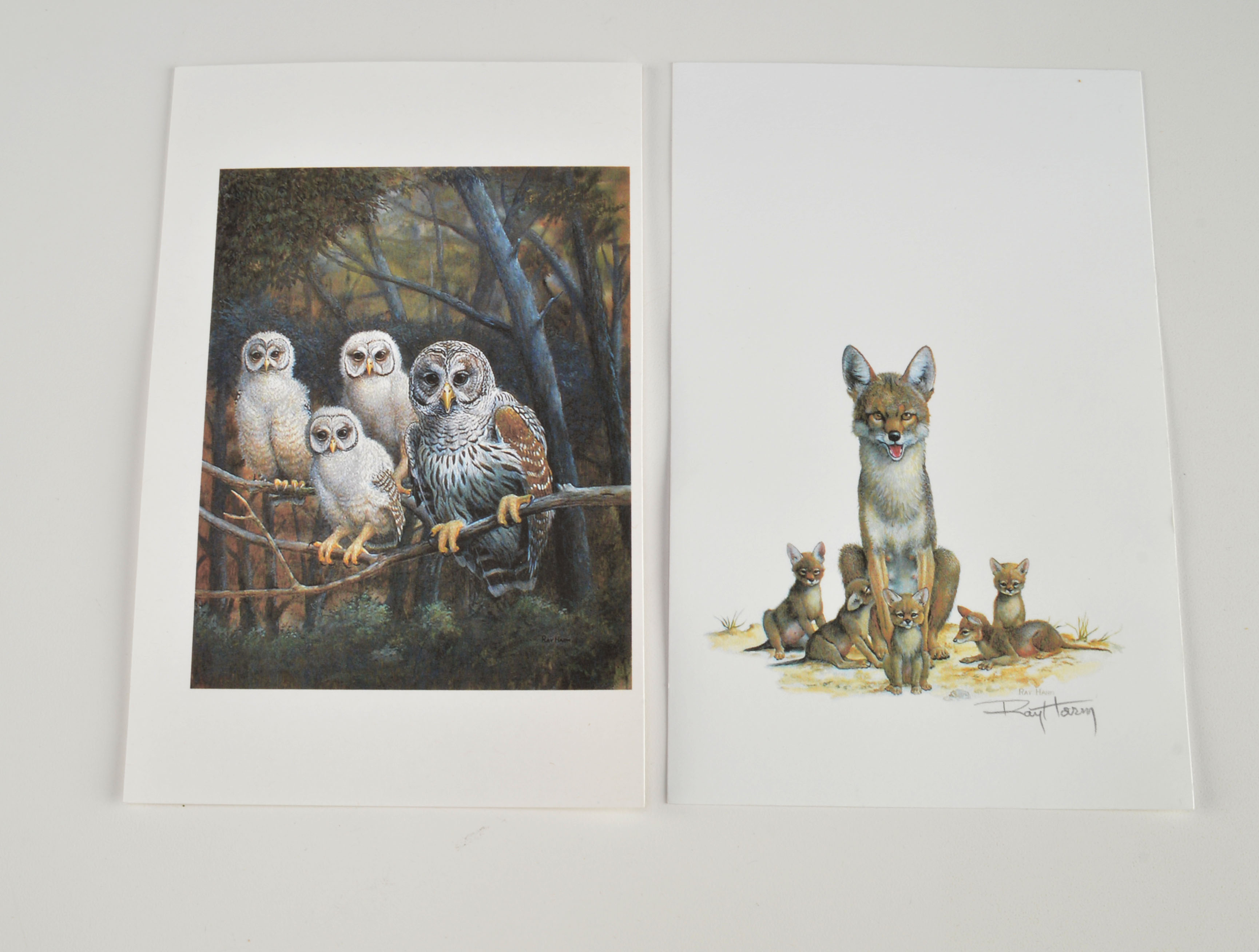 Ray Harm Wildlife Prints, Three Pencil Signed | EBTH