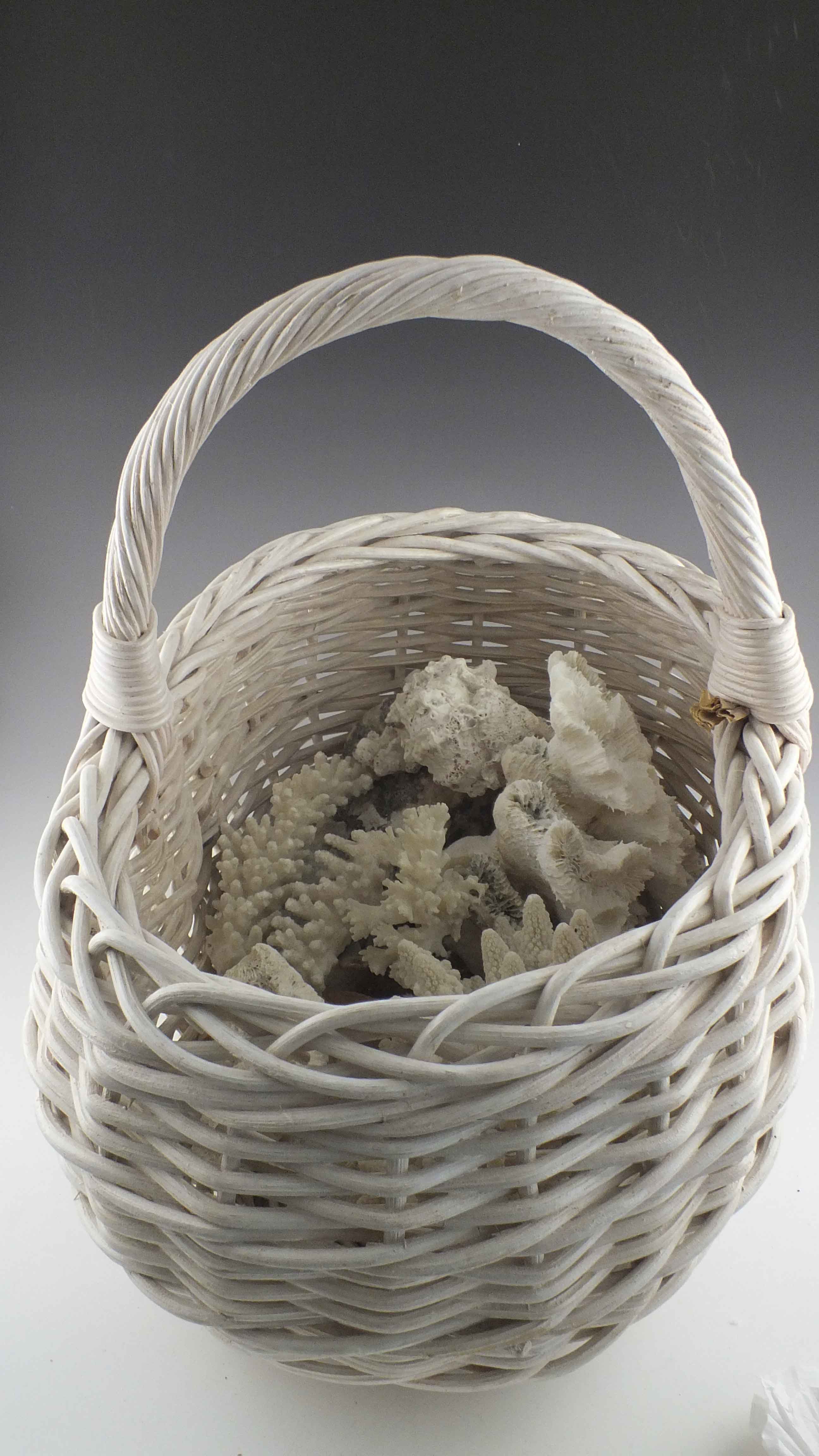 Decorative Basket and Coral Specimens | EBTH