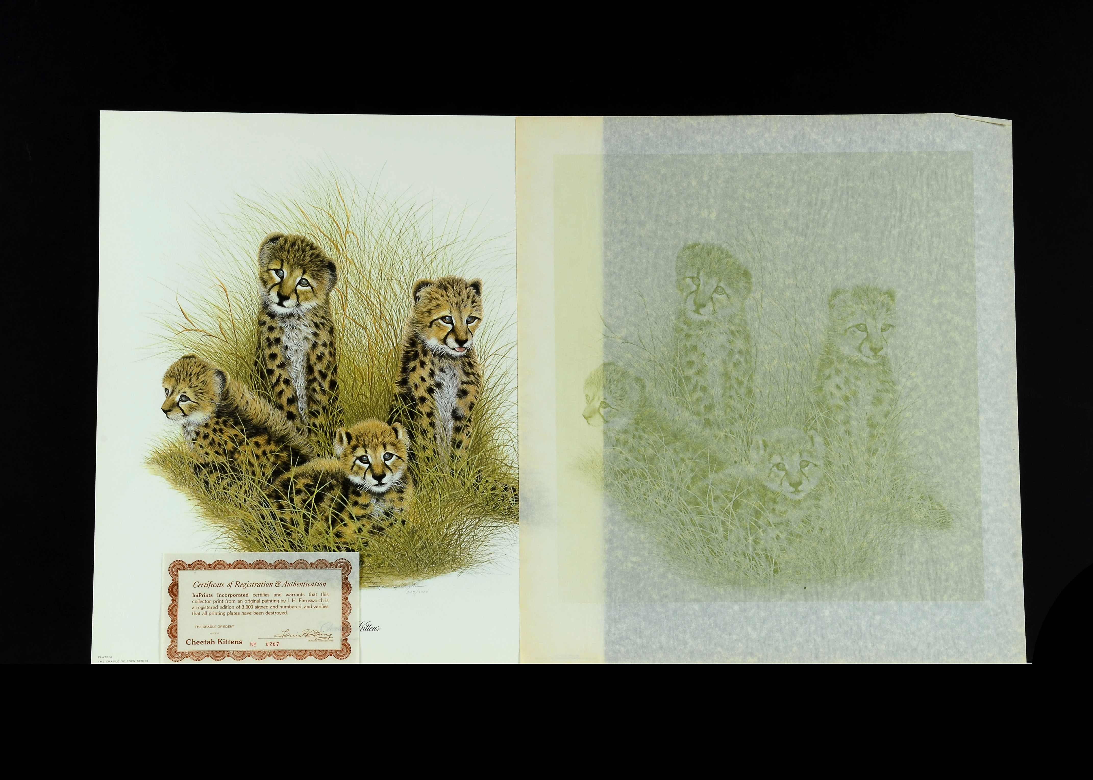 Signed and Numbered Imogene Farnsworth Print | EBTH