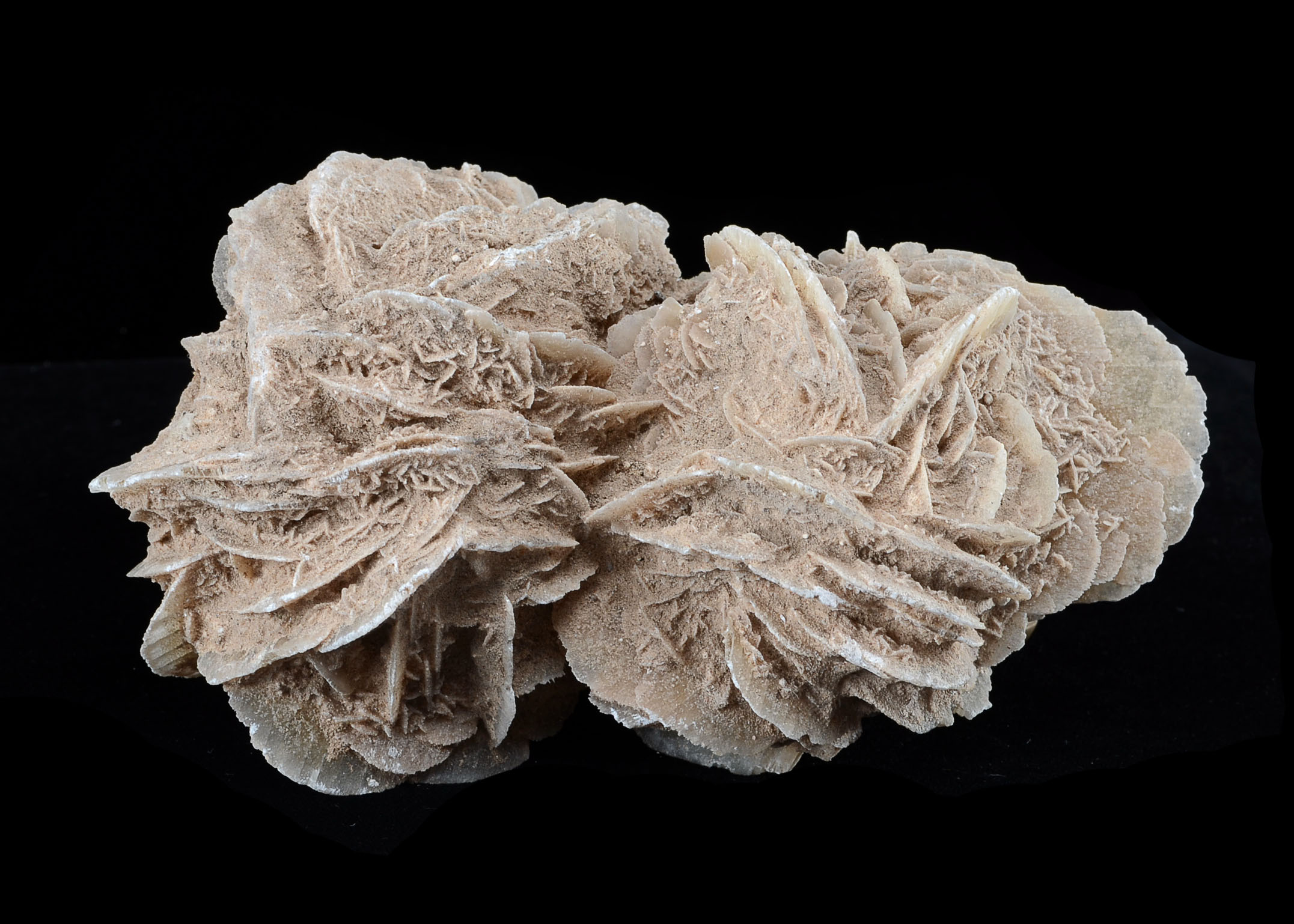 Display Specimen Of Gypsum Rose | EBTH