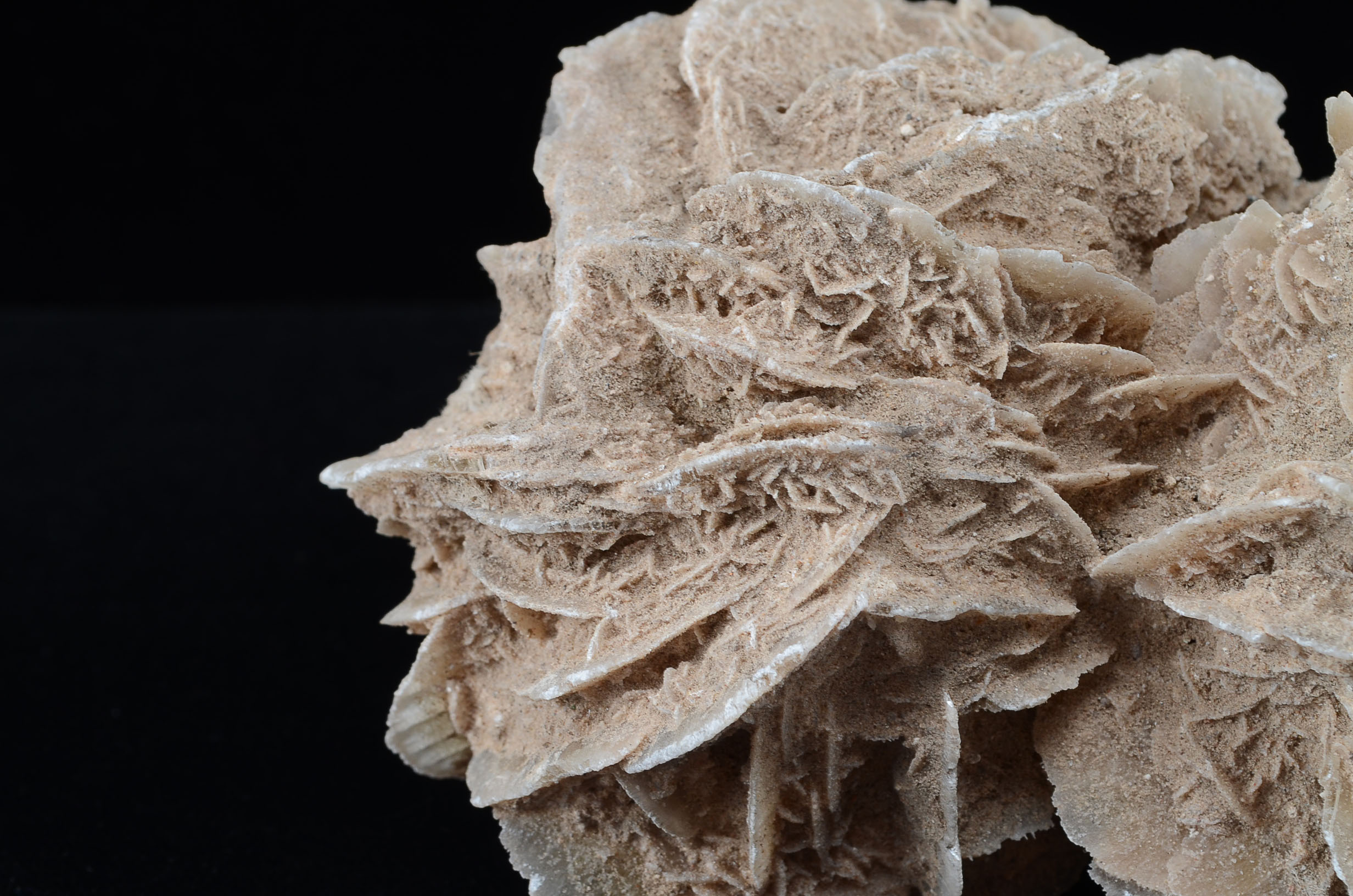 Display Specimen Of Gypsum Rose | EBTH