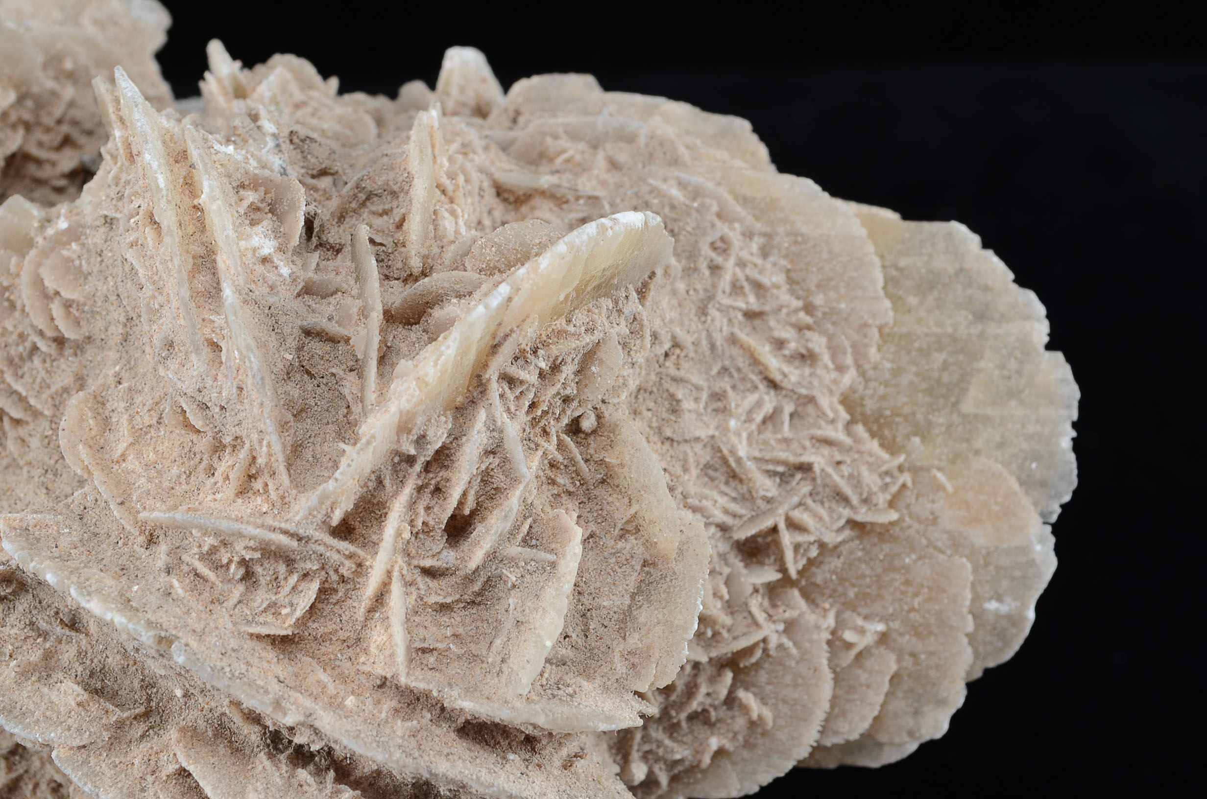 Display Specimen Of Gypsum Rose | EBTH