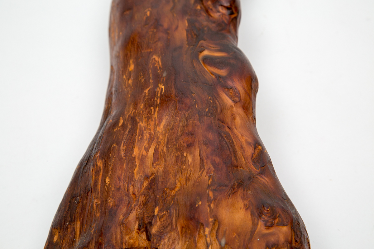 Finished Cypress Knee | EBTH