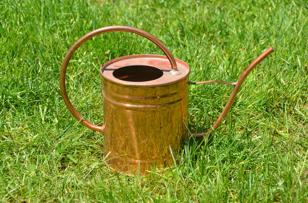 Copper Watering Can | EBTH