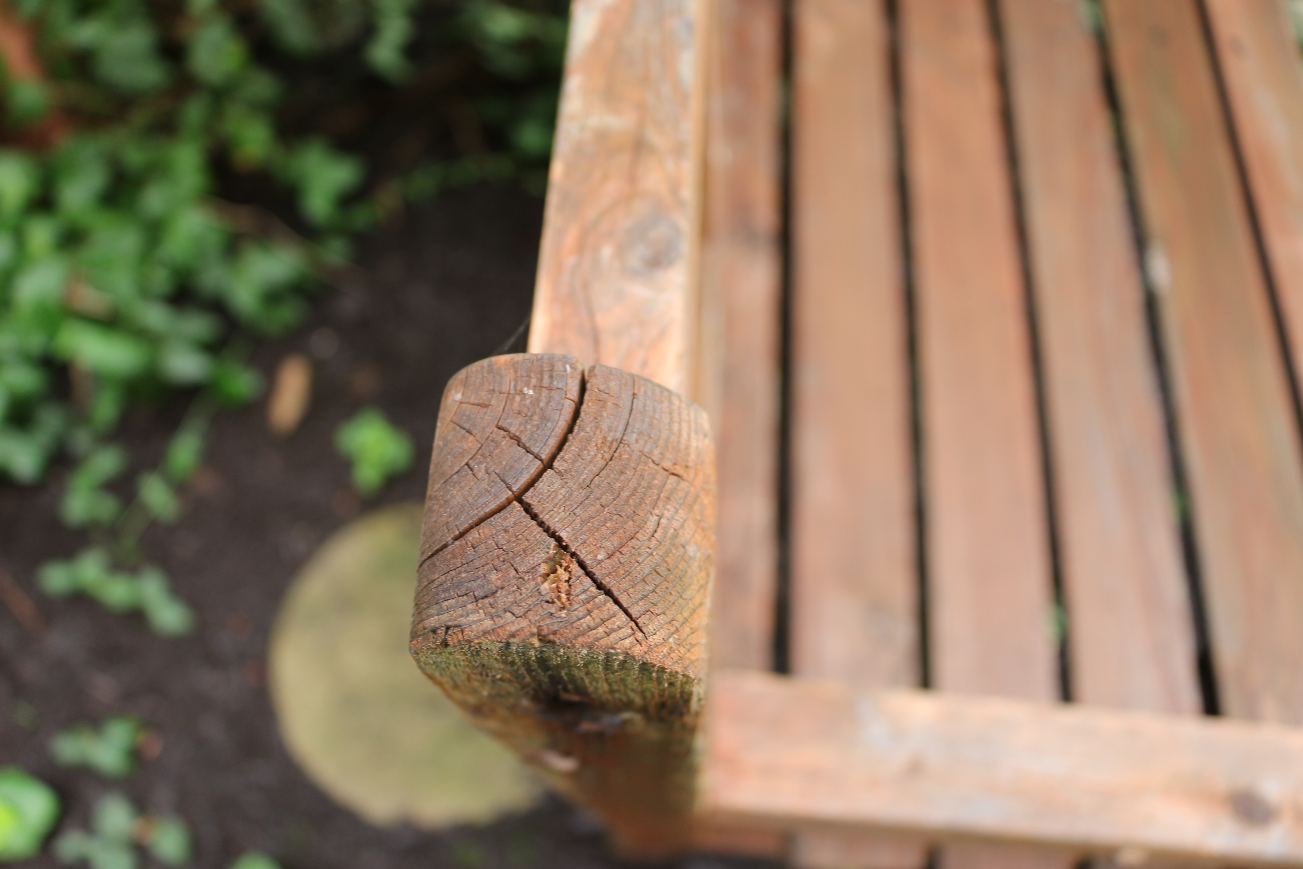 Tidewater Workshop Outdoor Cedar Bench | EBTH