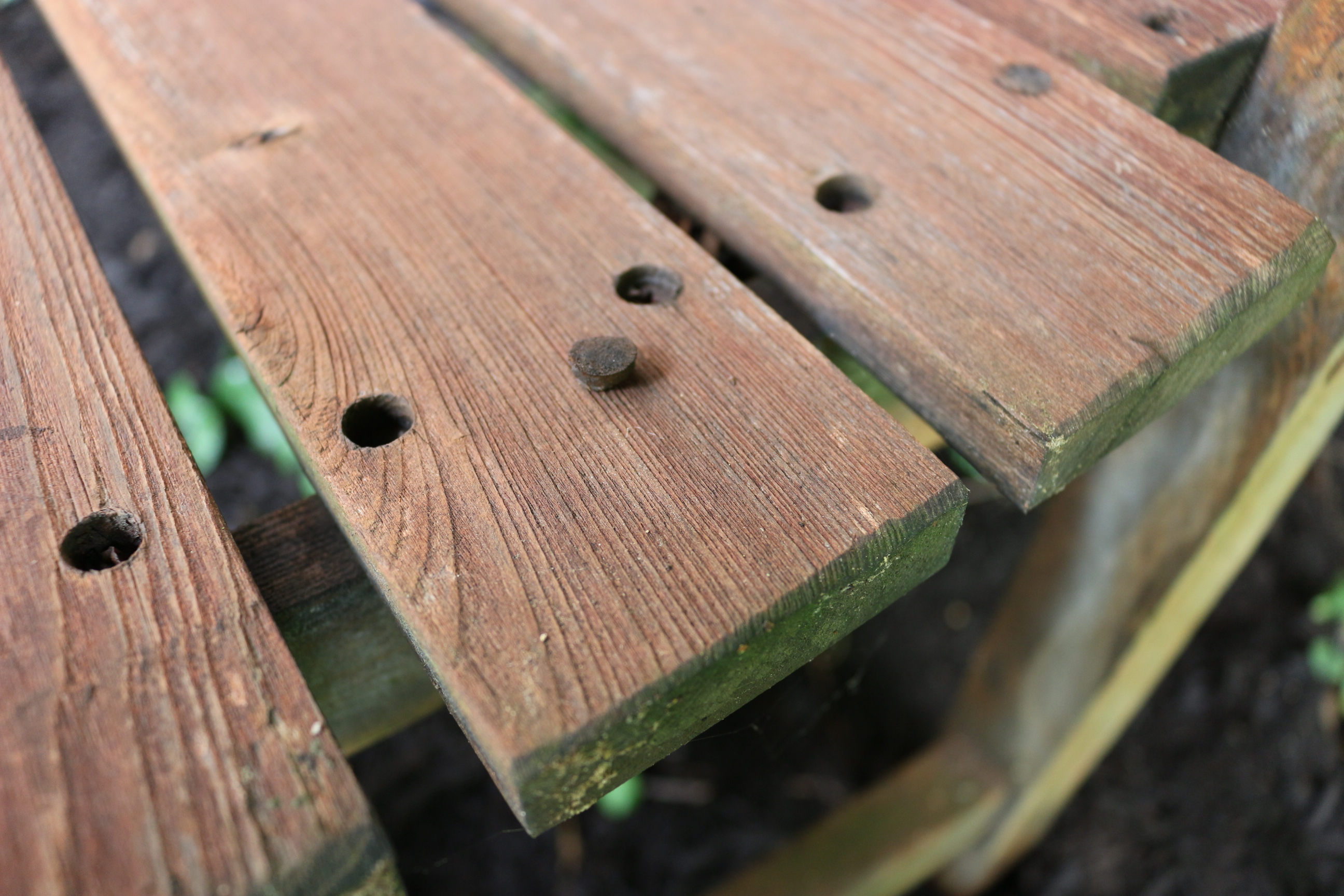 Tidewater Workshop Outdoor Cedar Bench | EBTH