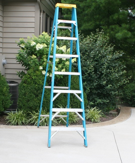 Eight Foot Werner Step Ladder | EBTH