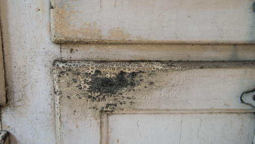 Antique McCray Ice Box | EBTH