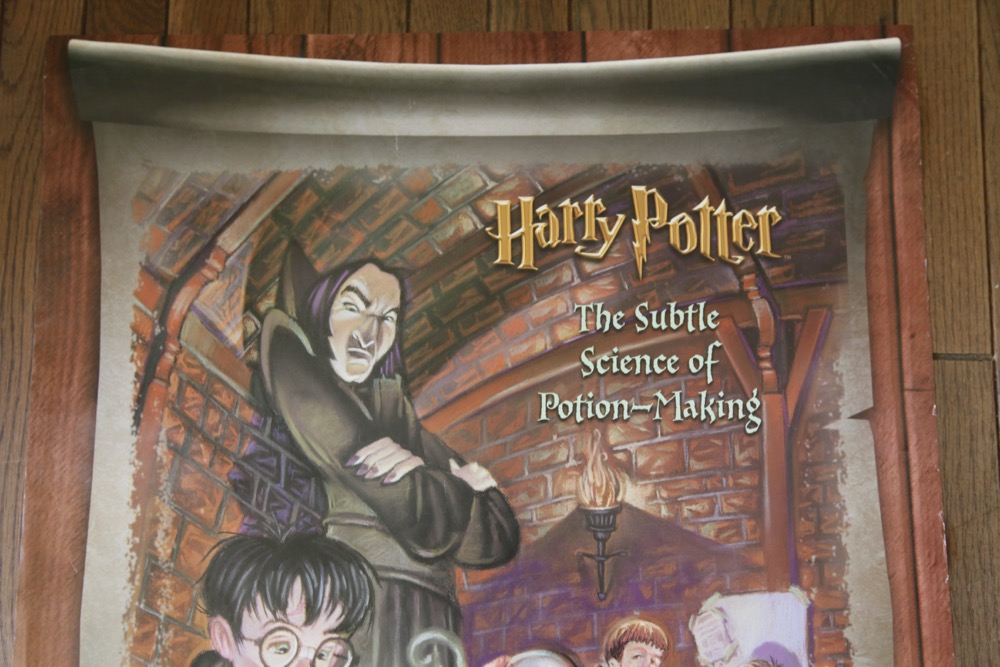 "Harry Potter" Potions Poster | EBTH
