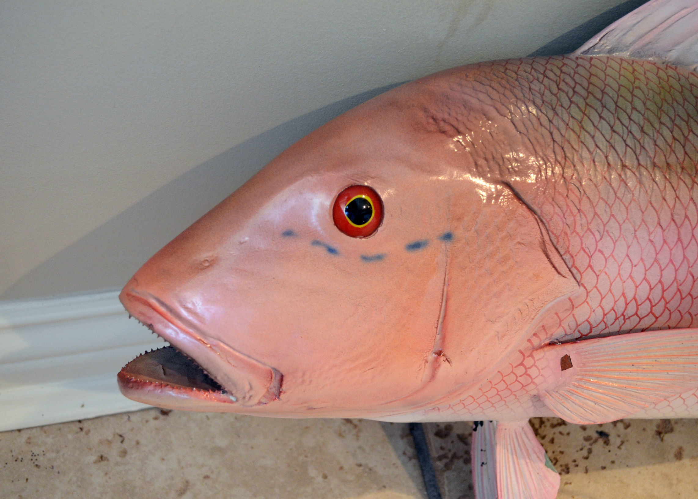 Fiberglass Mutton Snapper Trophy | EBTH