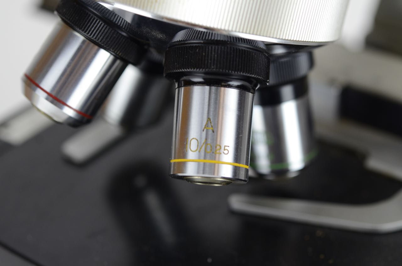 Bristol Binocular Microscope | EBTH