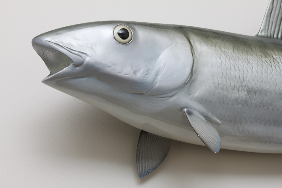 Wooden Bone Fish Sculpture | EBTH