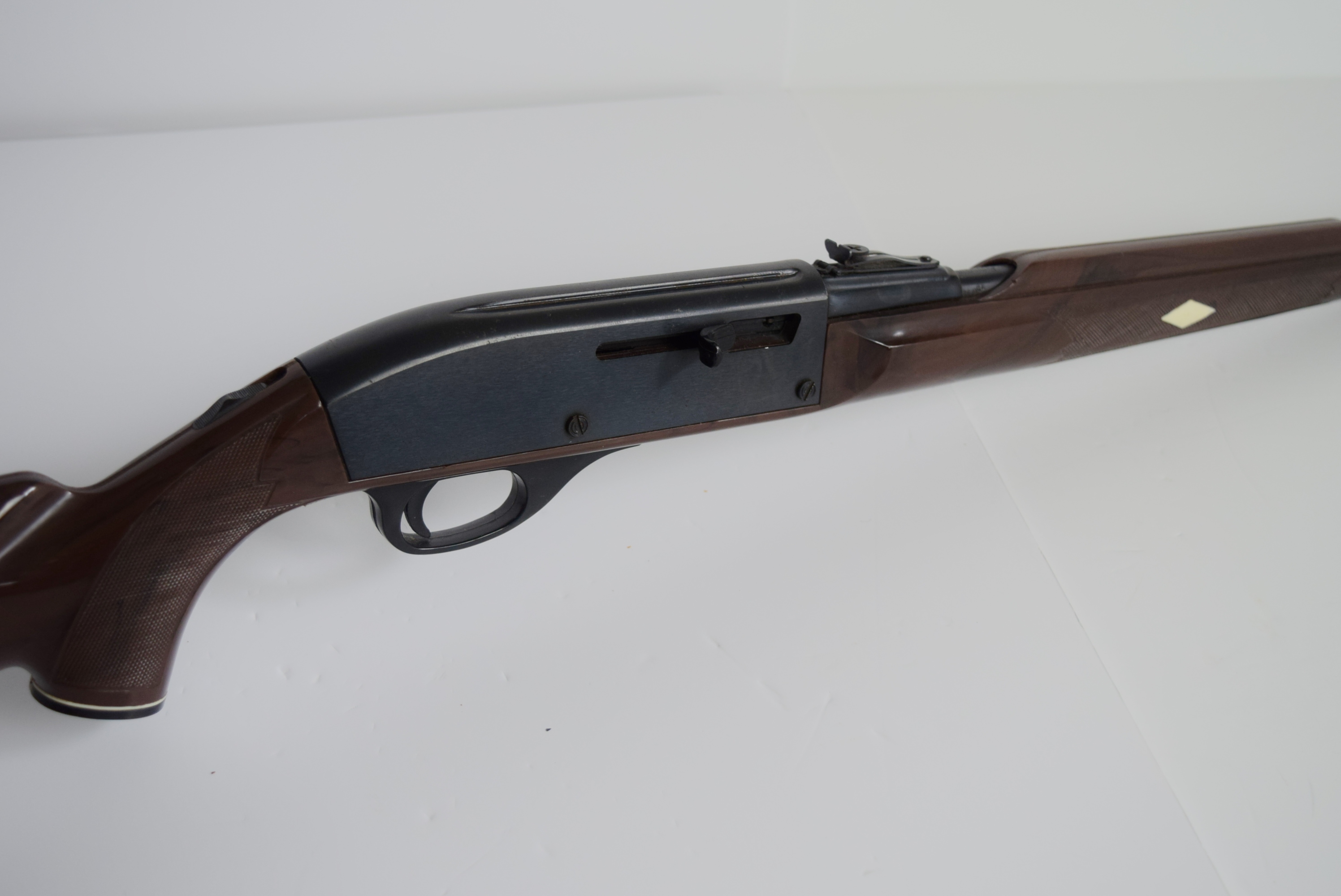 Remington Nylon 66 .22 Caliber Rifle | EBTH