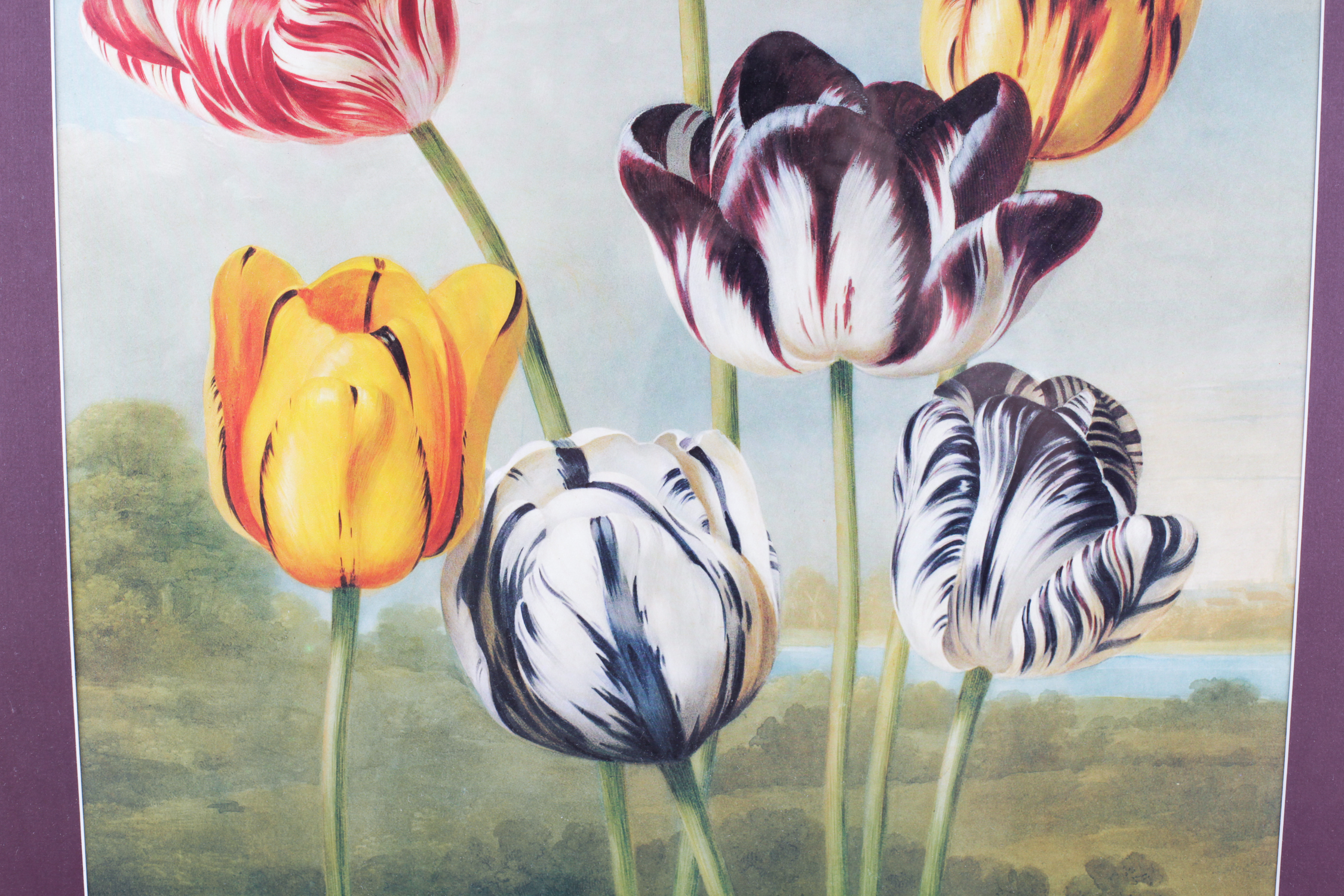 Flowers Offset Lithograph Print | EBTH