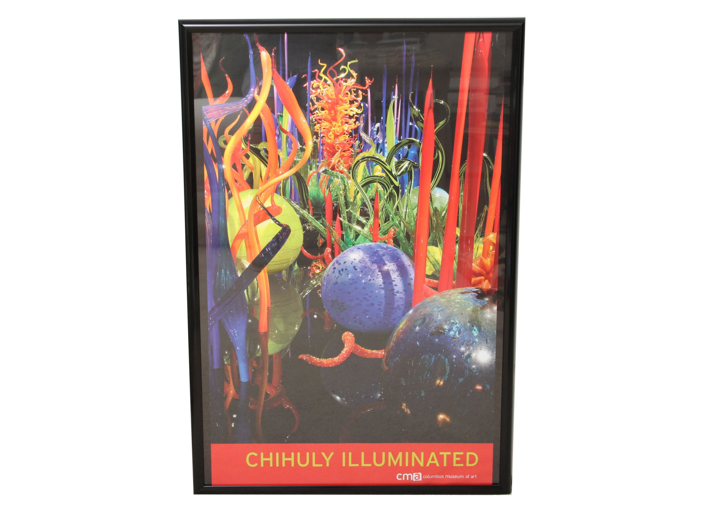 "Chihuly Illuminated" Exhibit Poster | EBTH