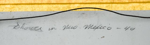 Original Alma Knauber "Shower in New Mexico" Oil Painting | EBTH