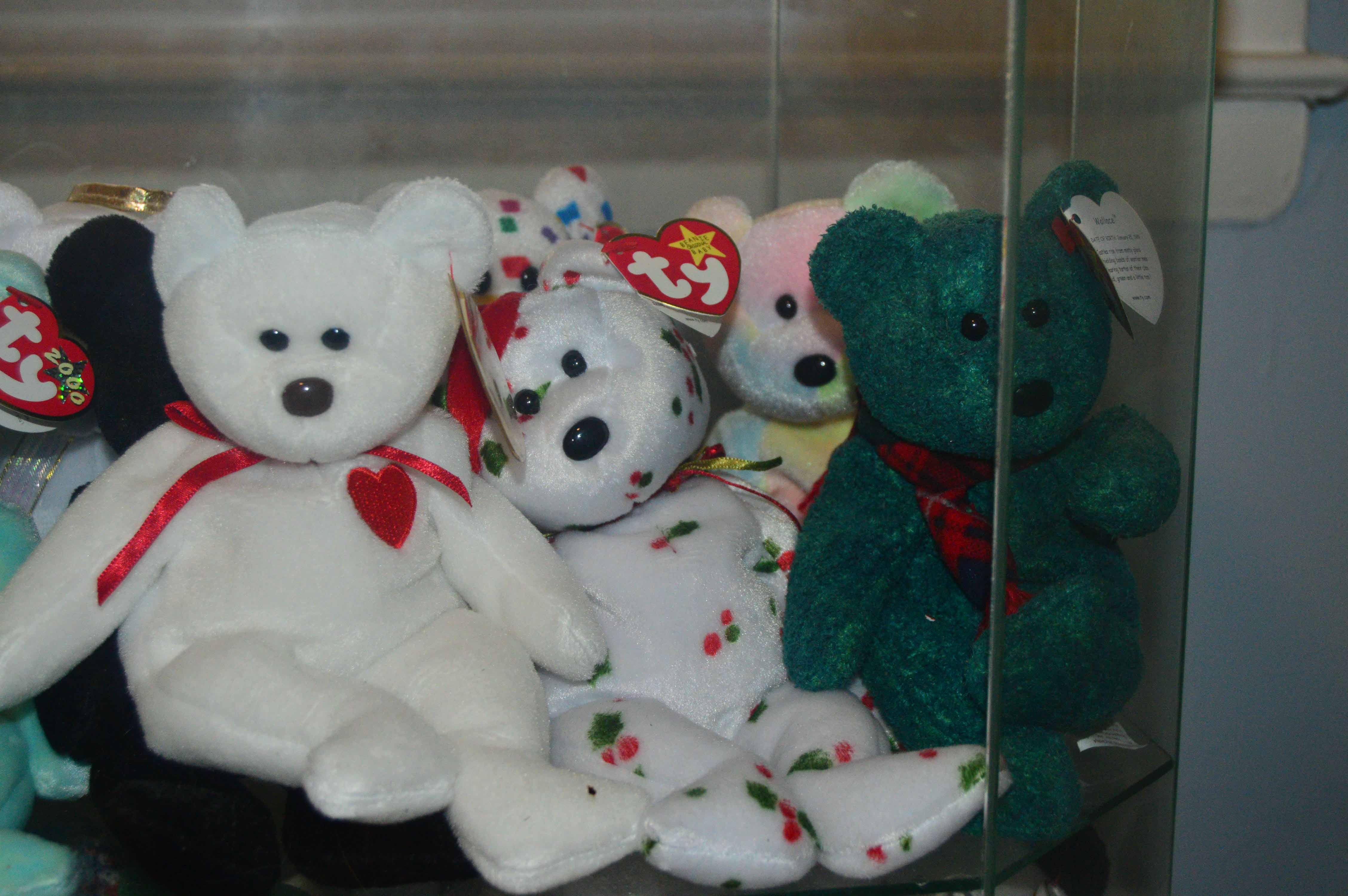 Display Case with Various Beanie Babies | EBTH