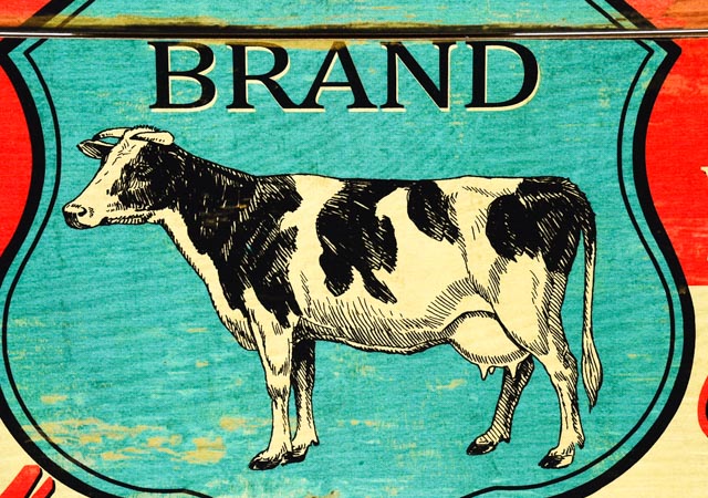 Reproduction Spring Valley Dairy Advertising Board | EBTH