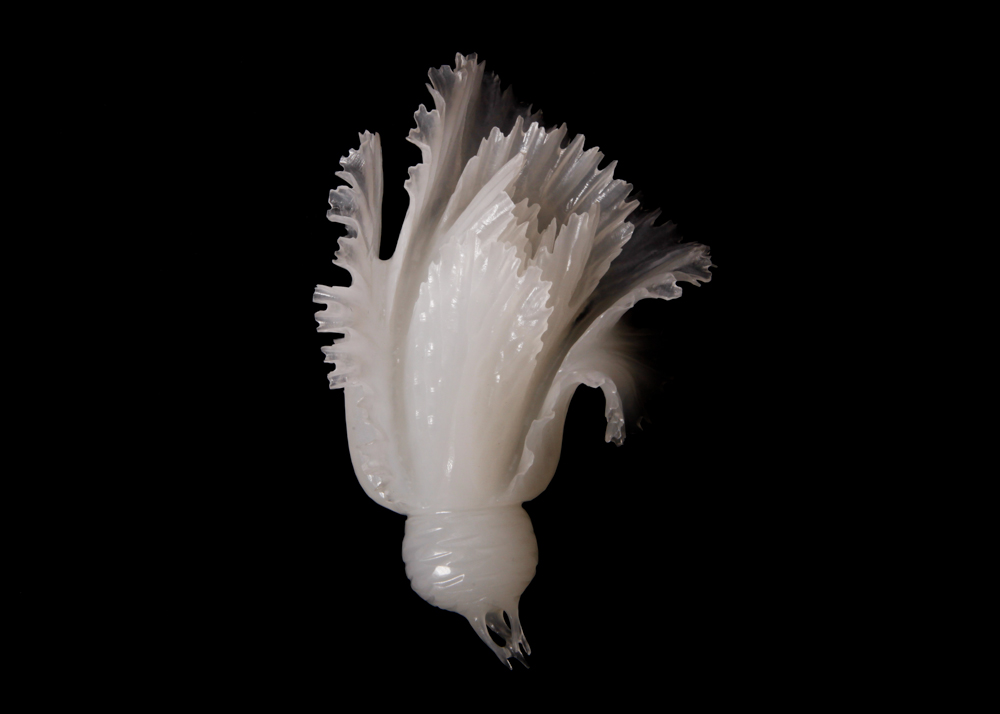 Rare Qing Dynasty White Nephrite Jade Cabbage on Stand | EBTH