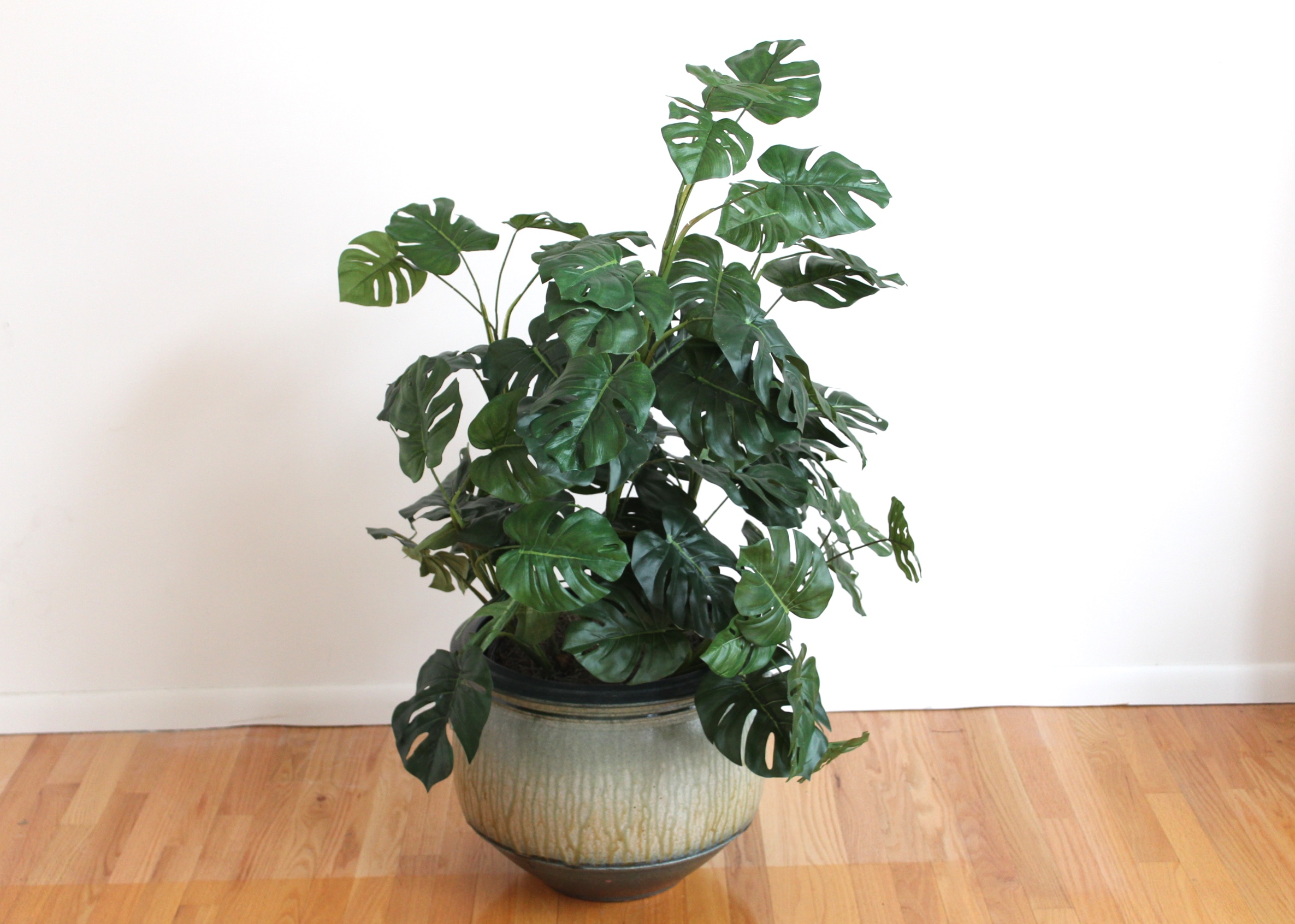 Large Pot by Michael Frasca with Silk Plant | EBTH