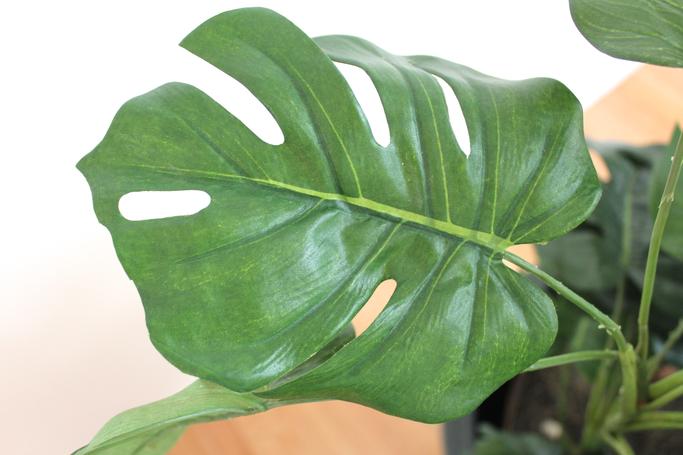 Large Pot by Michael Frasca with Silk Plant | EBTH