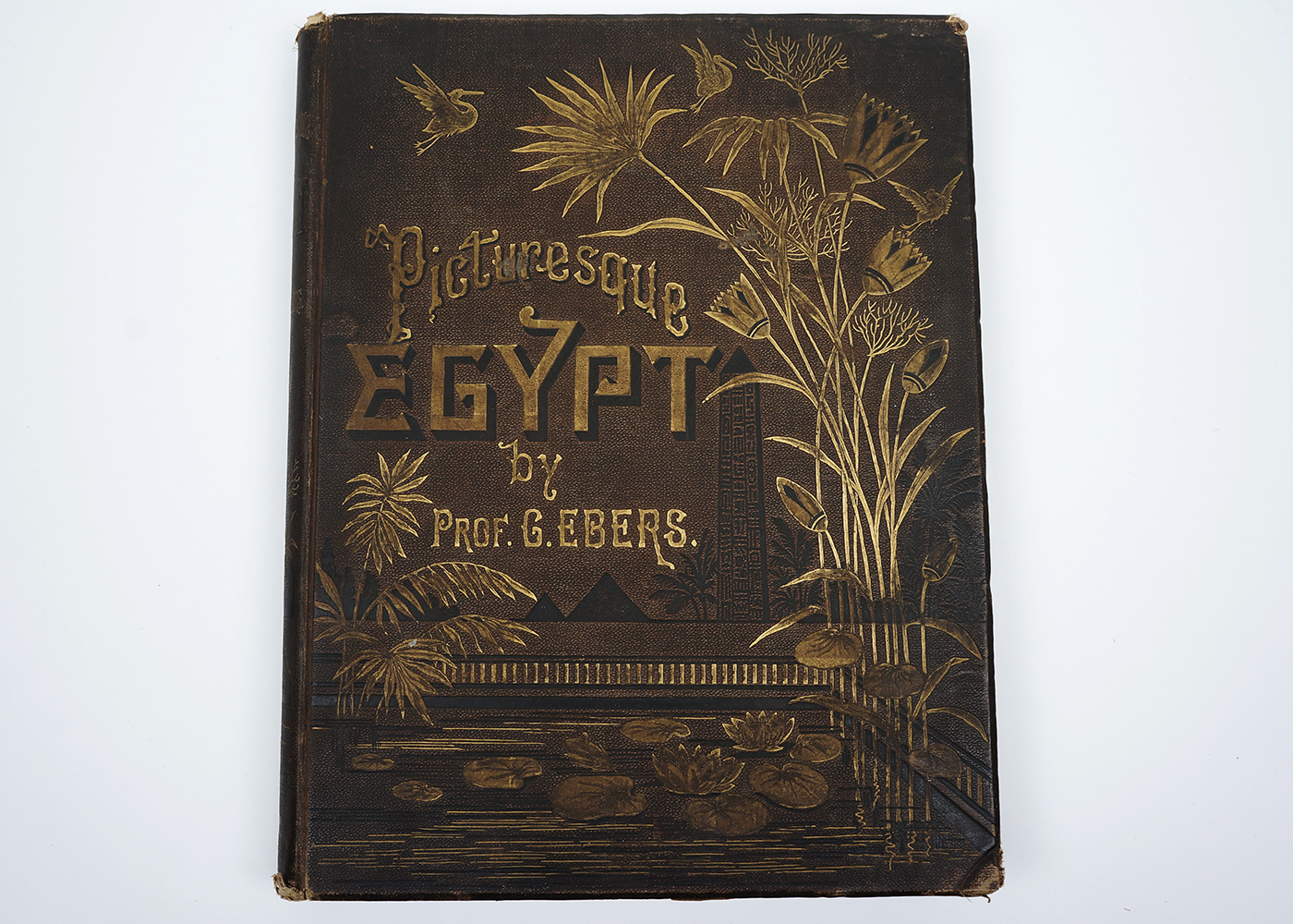 Complete Two Volume Set of Picturesque Egypt from 1885 by Professor G ...