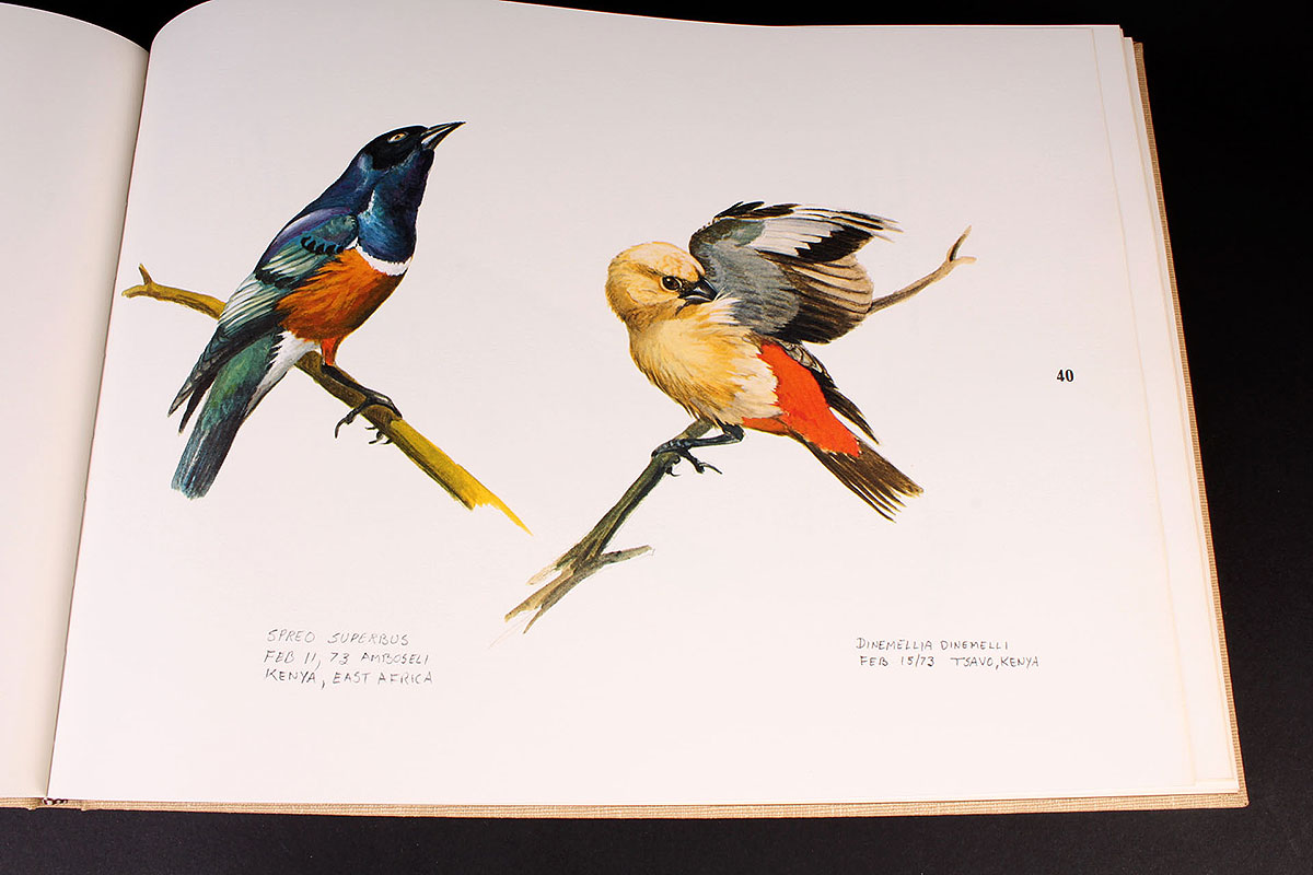 "Ray Harm's African Sketchbook" | EBTH