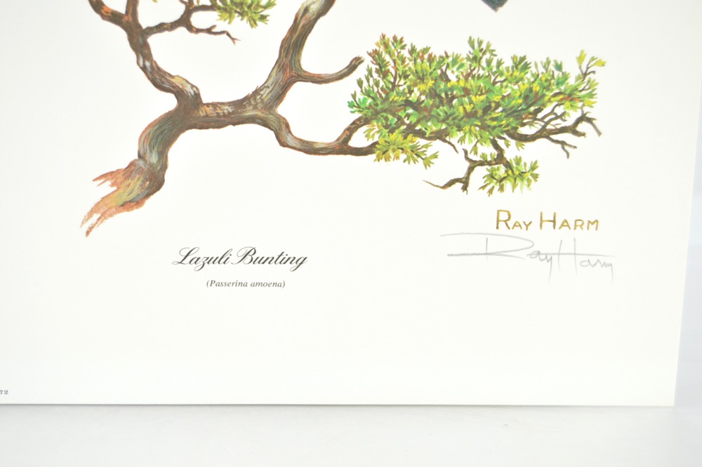Signed Ray Harm Bird Prints | EBTH