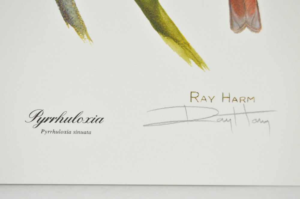 Signed Ray Harm Bird Prints | EBTH