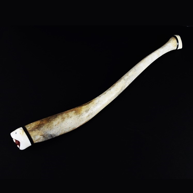 Fossilized Walrus Oosik with Carved Caps : EBTH