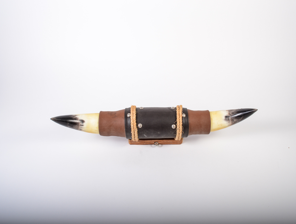 Mounted Ox Horns | EBTH