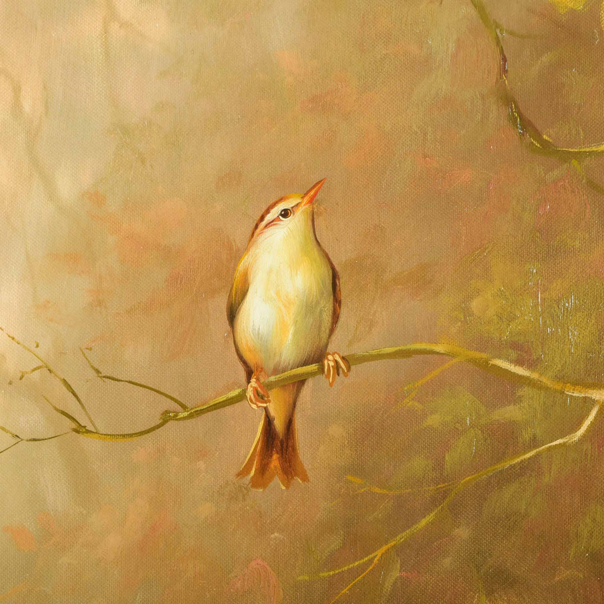 Original S. Robertson Oil on Canvas of Birds in a Tree | EBTH