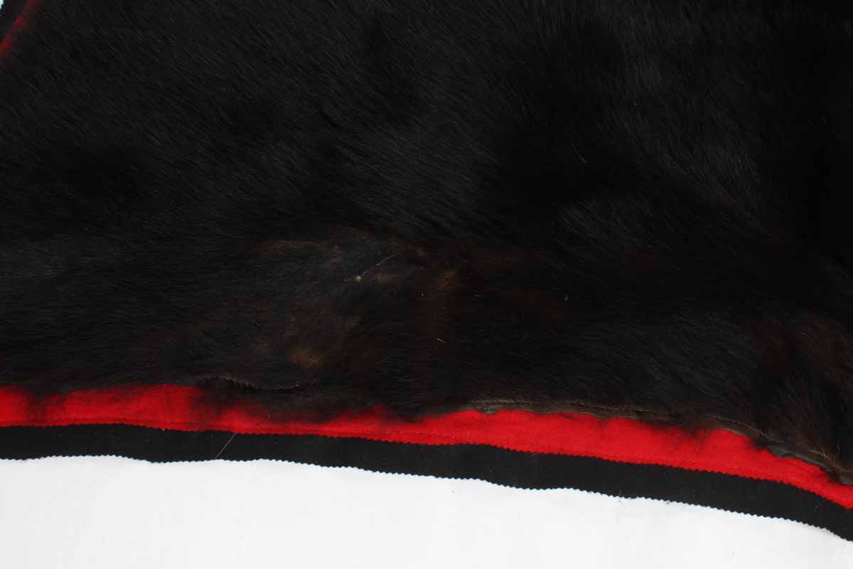 Genuine Black Bear Skin Rug | EBTH