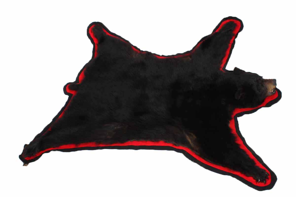 Genuine Black Bear Skin Rug | EBTH