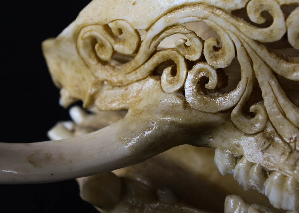 Hand Carved Scroll Work Boar Skull with Tusks | EBTH