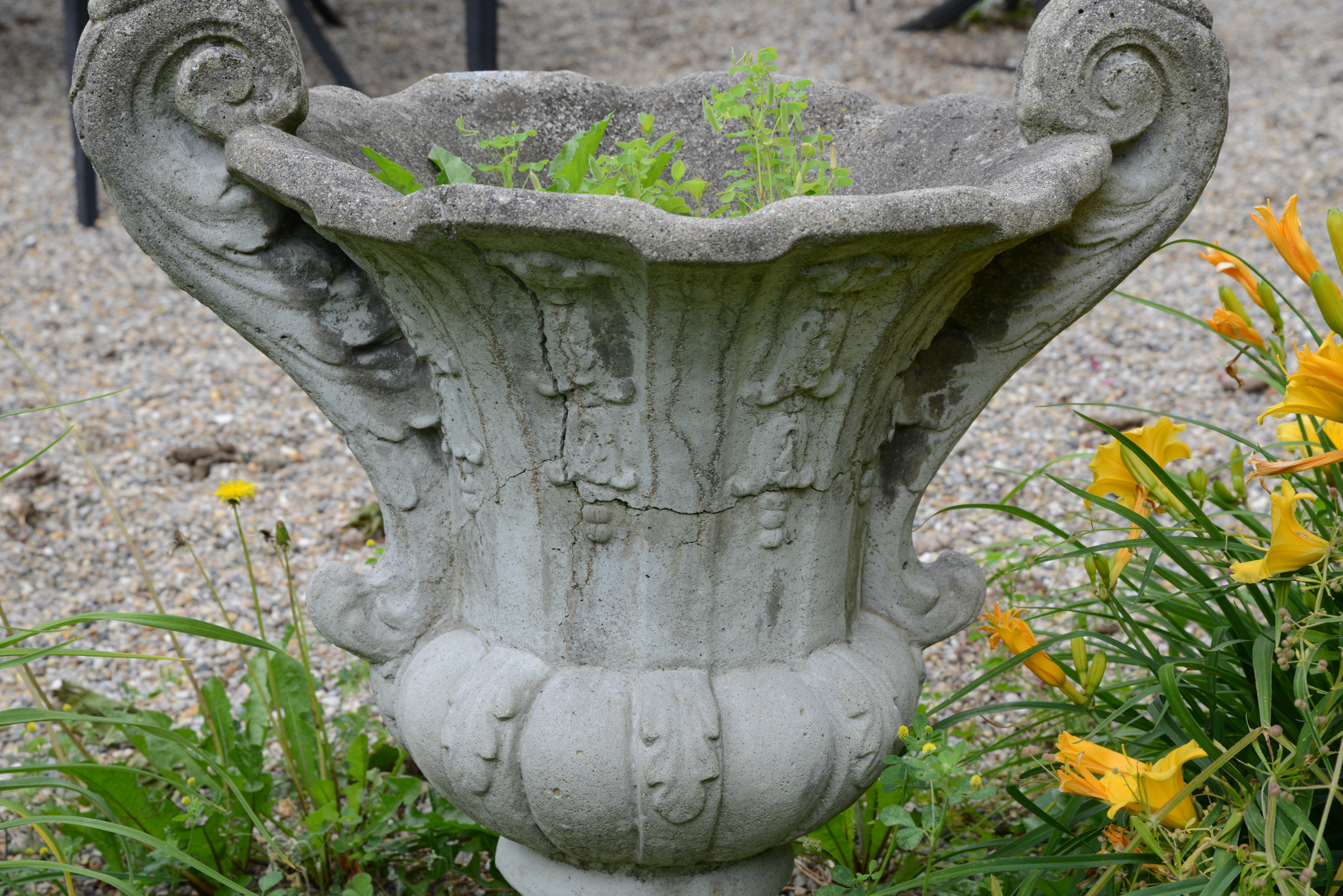 Concrete Urn Planter | EBTH